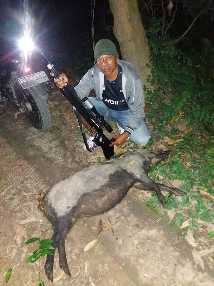 Tips Memilih Peluru Senapan Angin yang Paling Tepat untuk Akurasi Maksimal